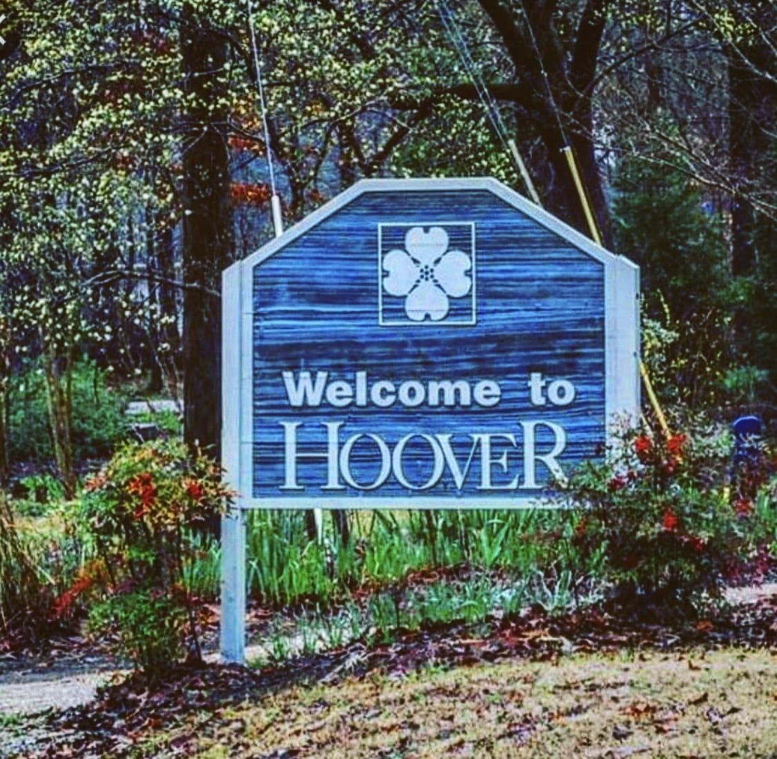 Hoover, from suburban enclave to a city with momentum: new 2018 ...