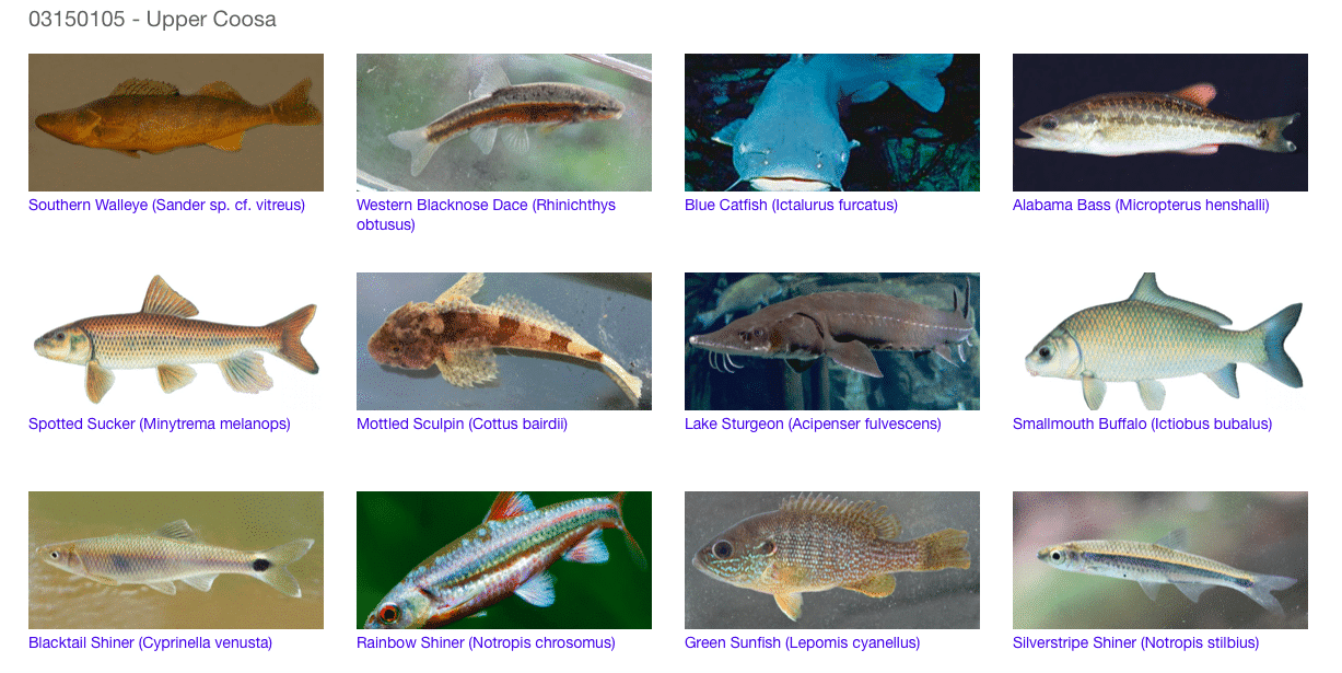 Discover "Facebook for Fish" featuring the Black Warrior, Cahaba, Coosa ...