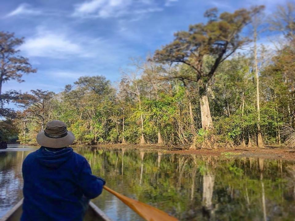 What is the Great Alabama 650? Learn about the longest single-state ...