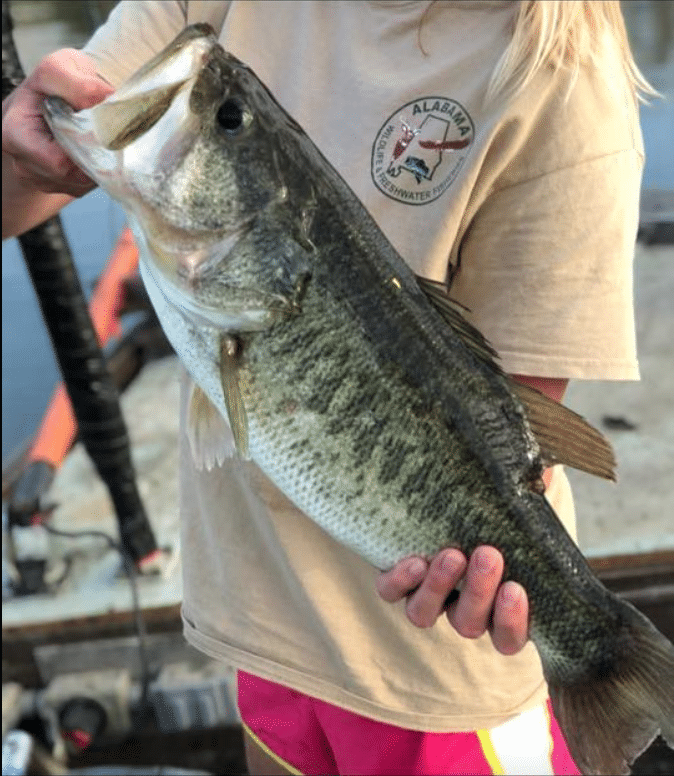 National Go Fishing Day: Guide to 10 fishing spots in and around ...