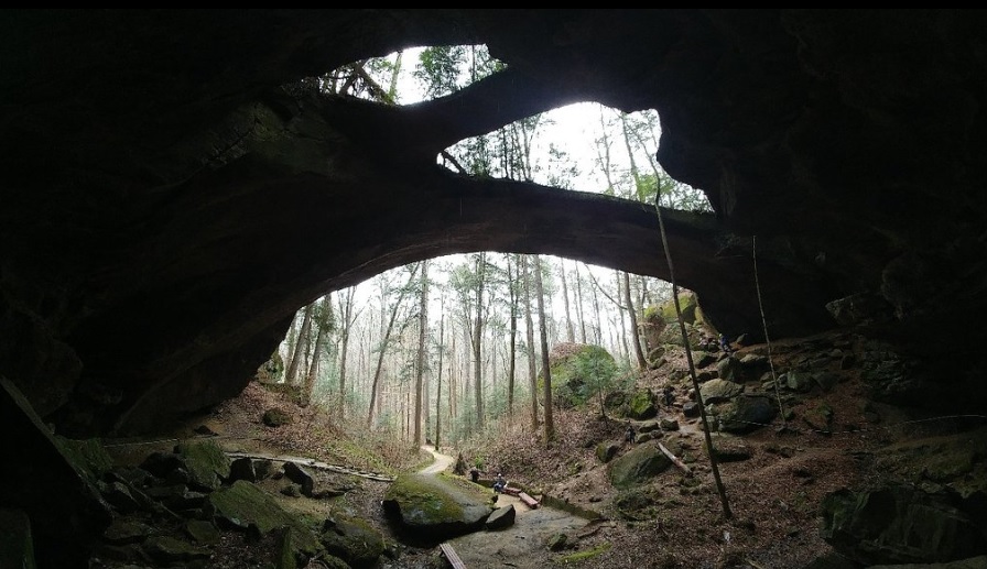 Road trip alert! The Natural Bridge of Alabama in Winston County - just ...