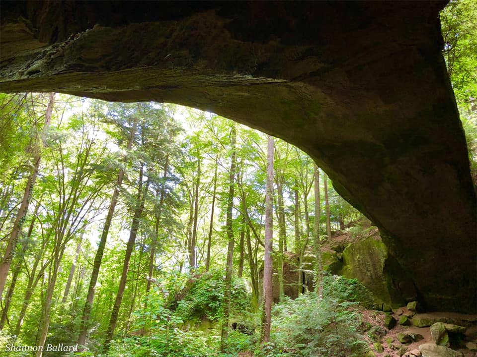 Road trip alert! The Natural Bridge of Alabama in Winston County - just ...