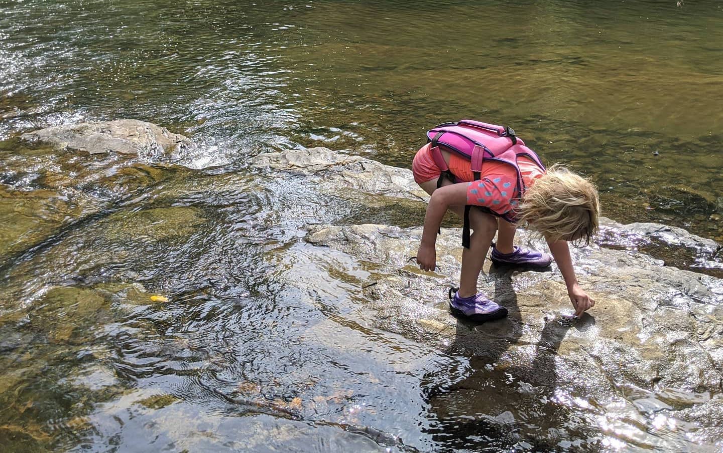 15 environmental nonprofits who need your support now, including ...