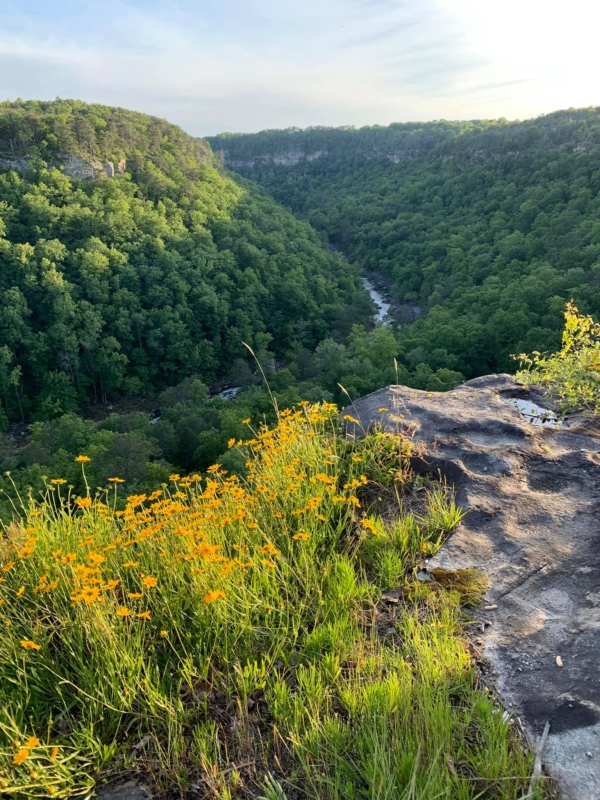 Here are Alabama’s next 10 natural wonders and how you can help protect ...