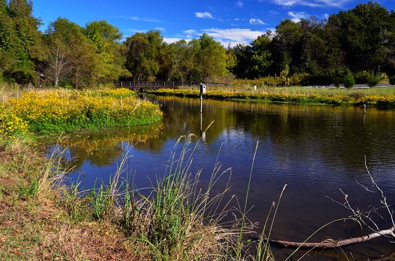 Here are Alabama’s next 10 natural wonders and how you can help protect ...