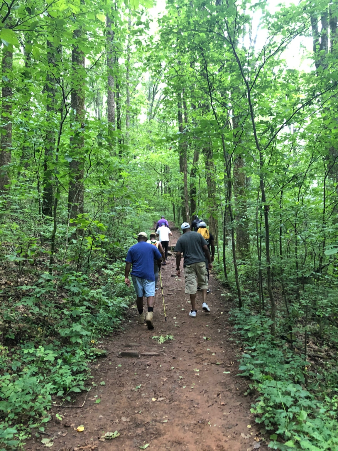 Fun facts about Red Mountain Park, including High Ore Line Trail ...