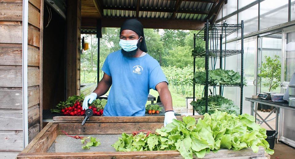 Jones Valley Teaching Farm breaks ground on new Center for Food ...