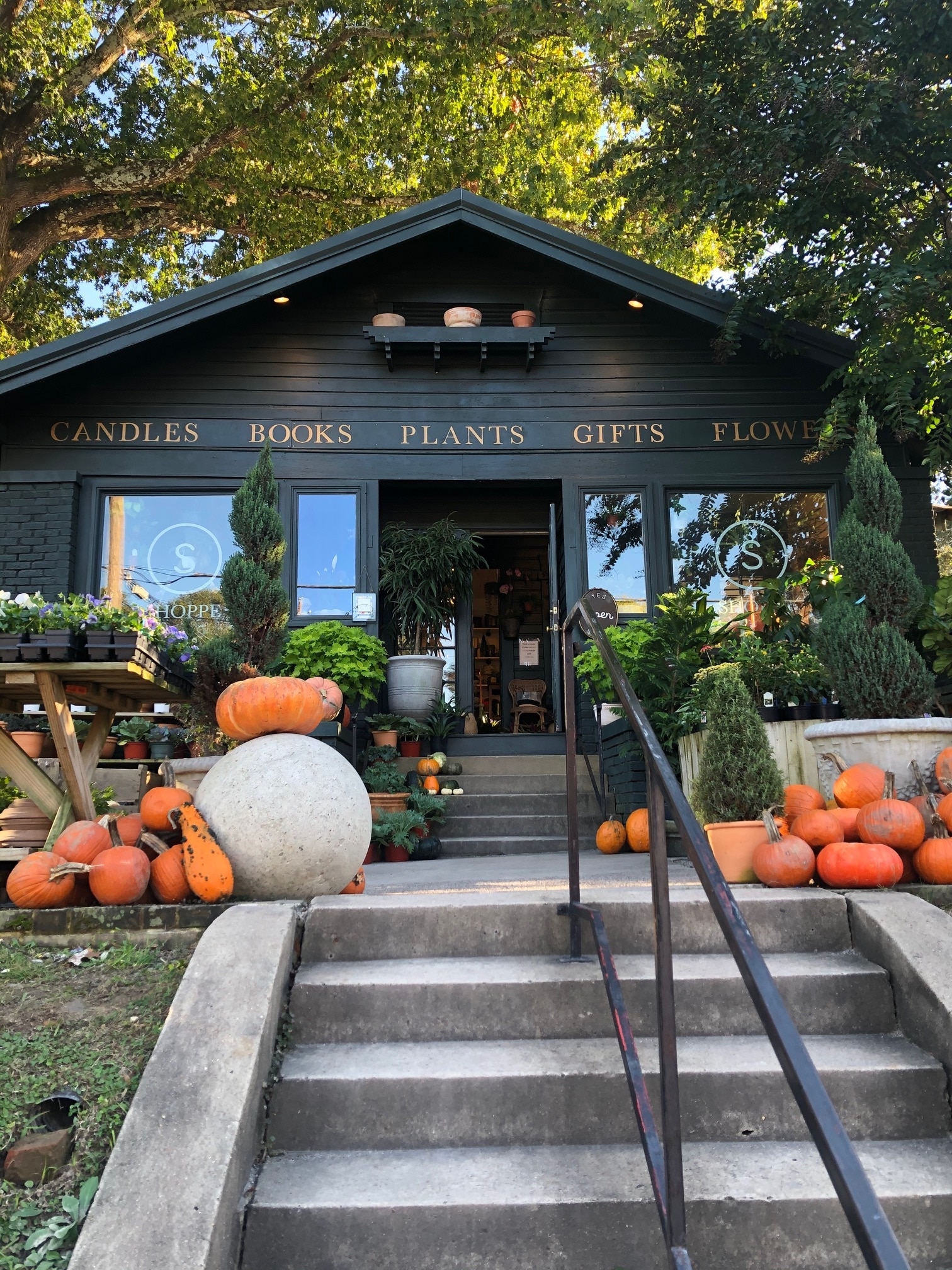 Forest Park’s Shoppe opens a pop-up store at the Summit | Bham Now