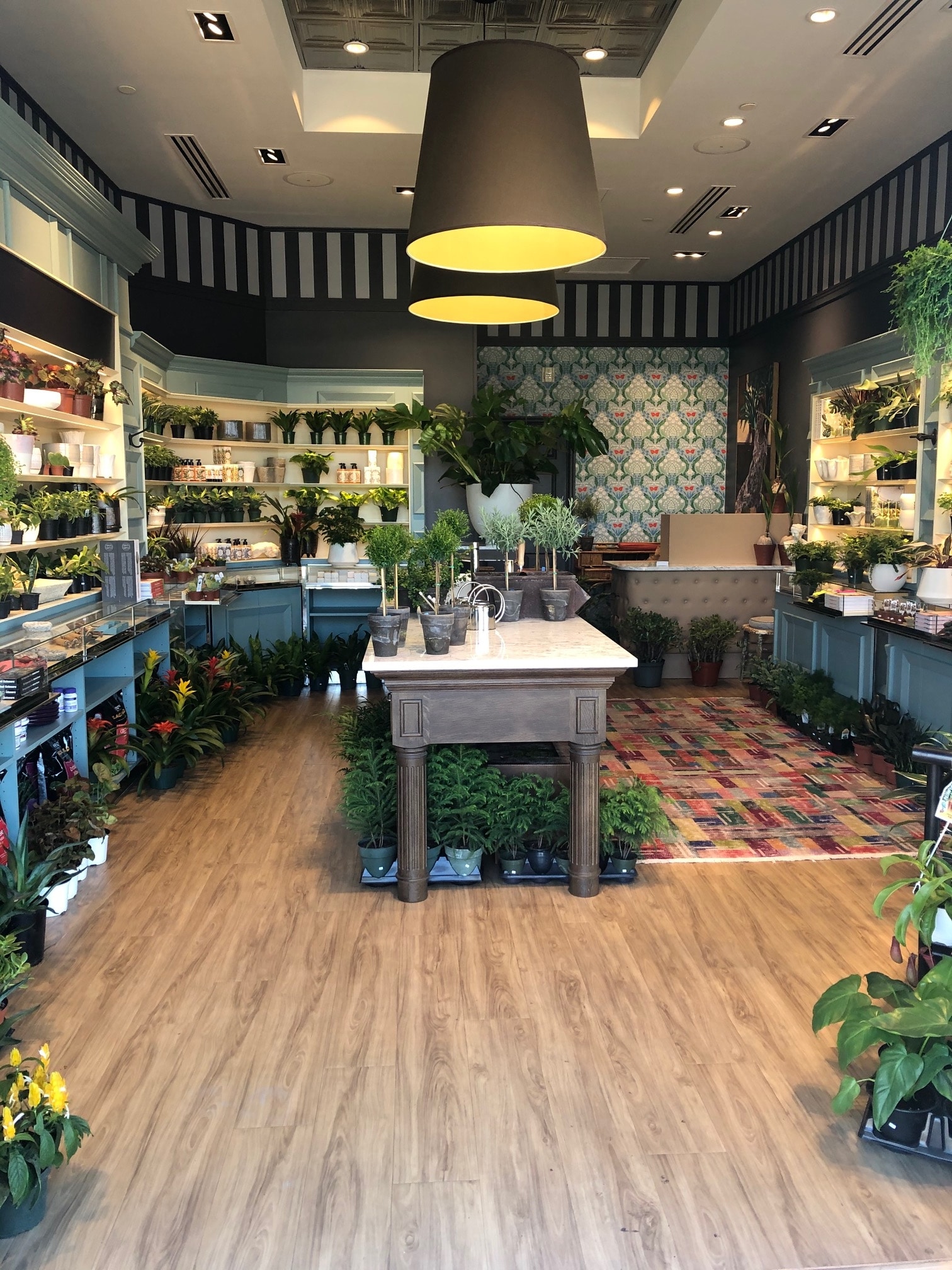Forest Park’s Shoppe opens a pop-up store at the Summit | Bham Now