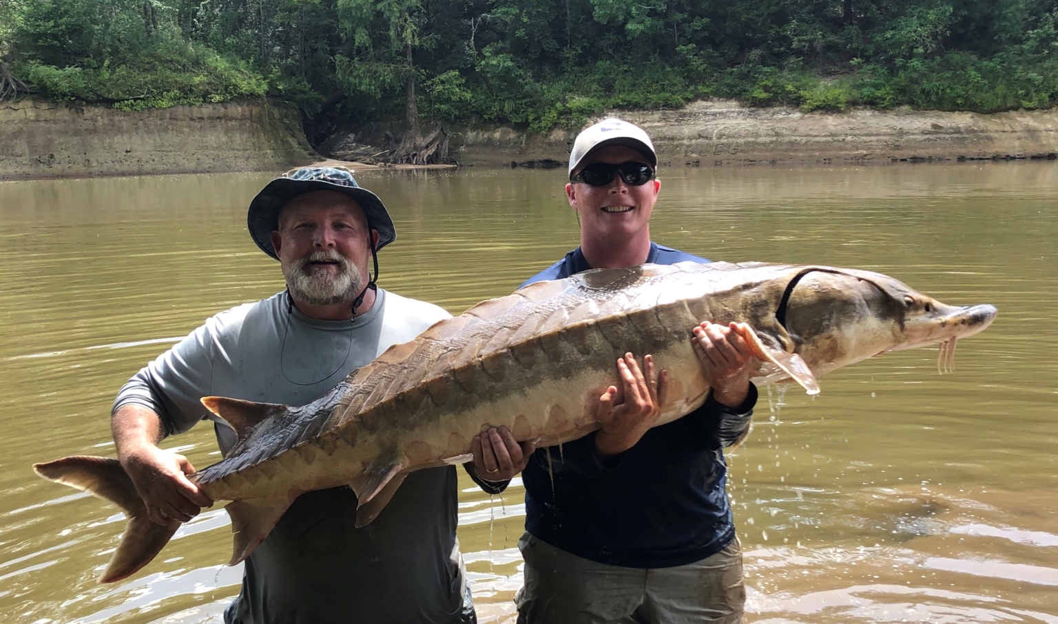 What’s happened to the prehistoric river giants of Alabama? | Bham Now