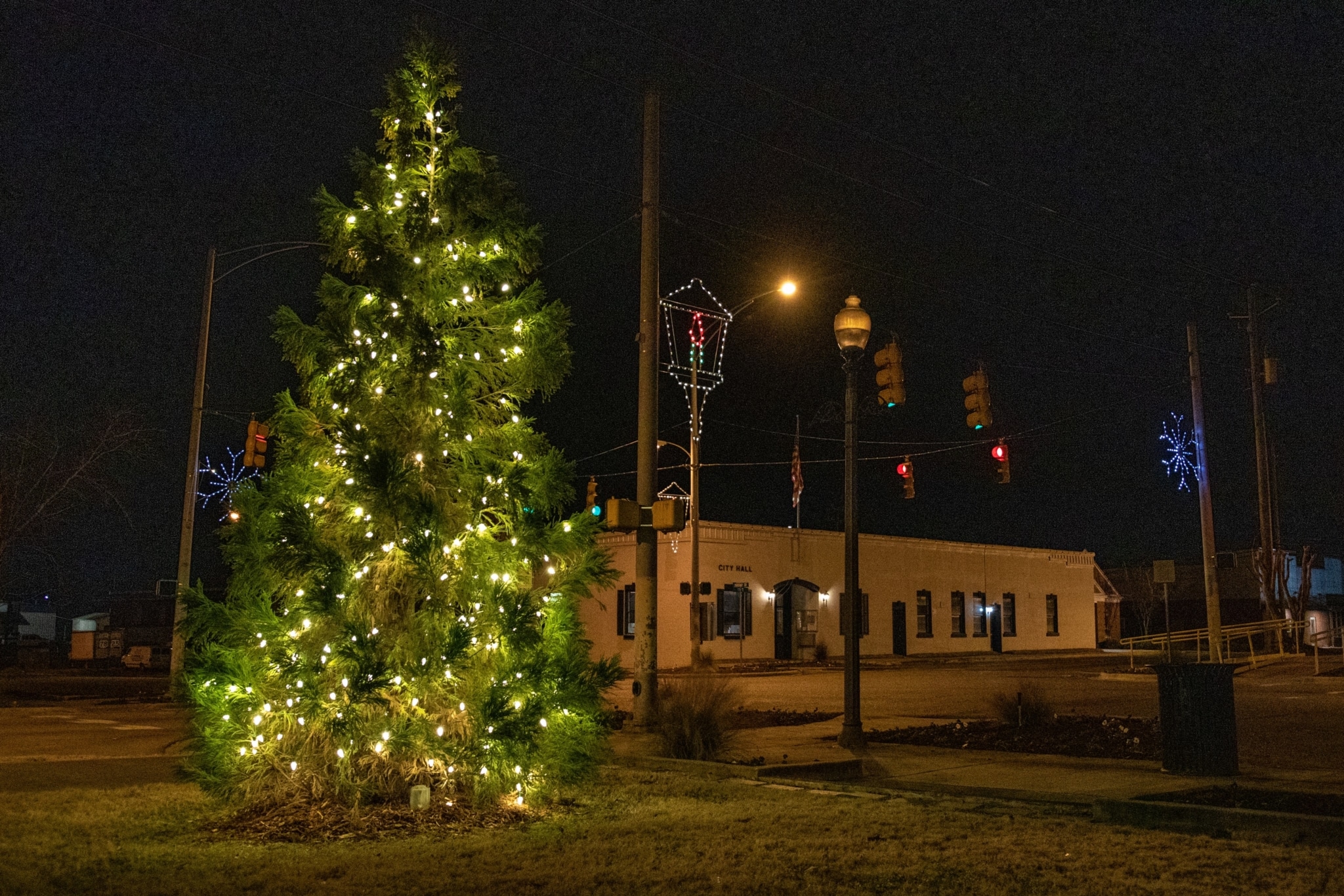 7 places to see Christmas trees and lights around Birmingham [PHOTOS ...