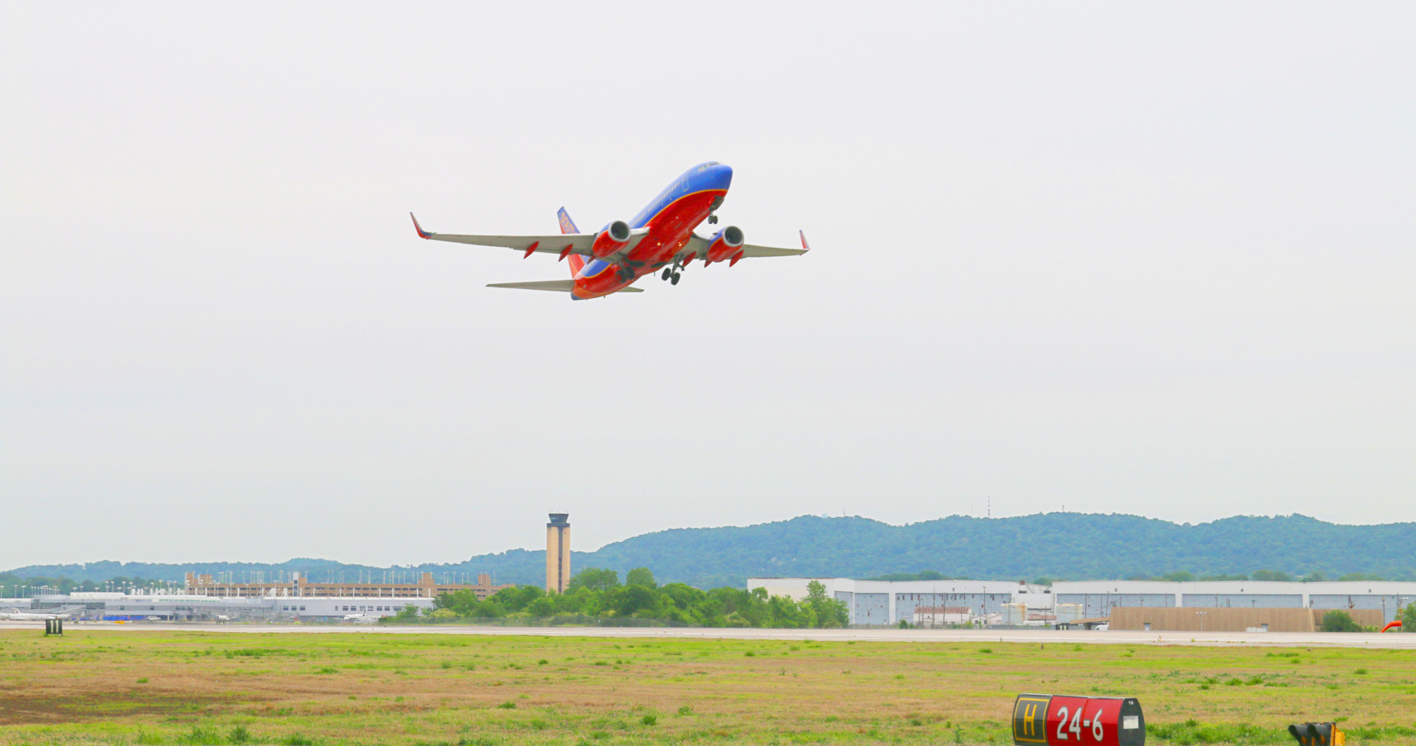 Guthrie's Chicken, furry friends + more exciting businesses opening in ...