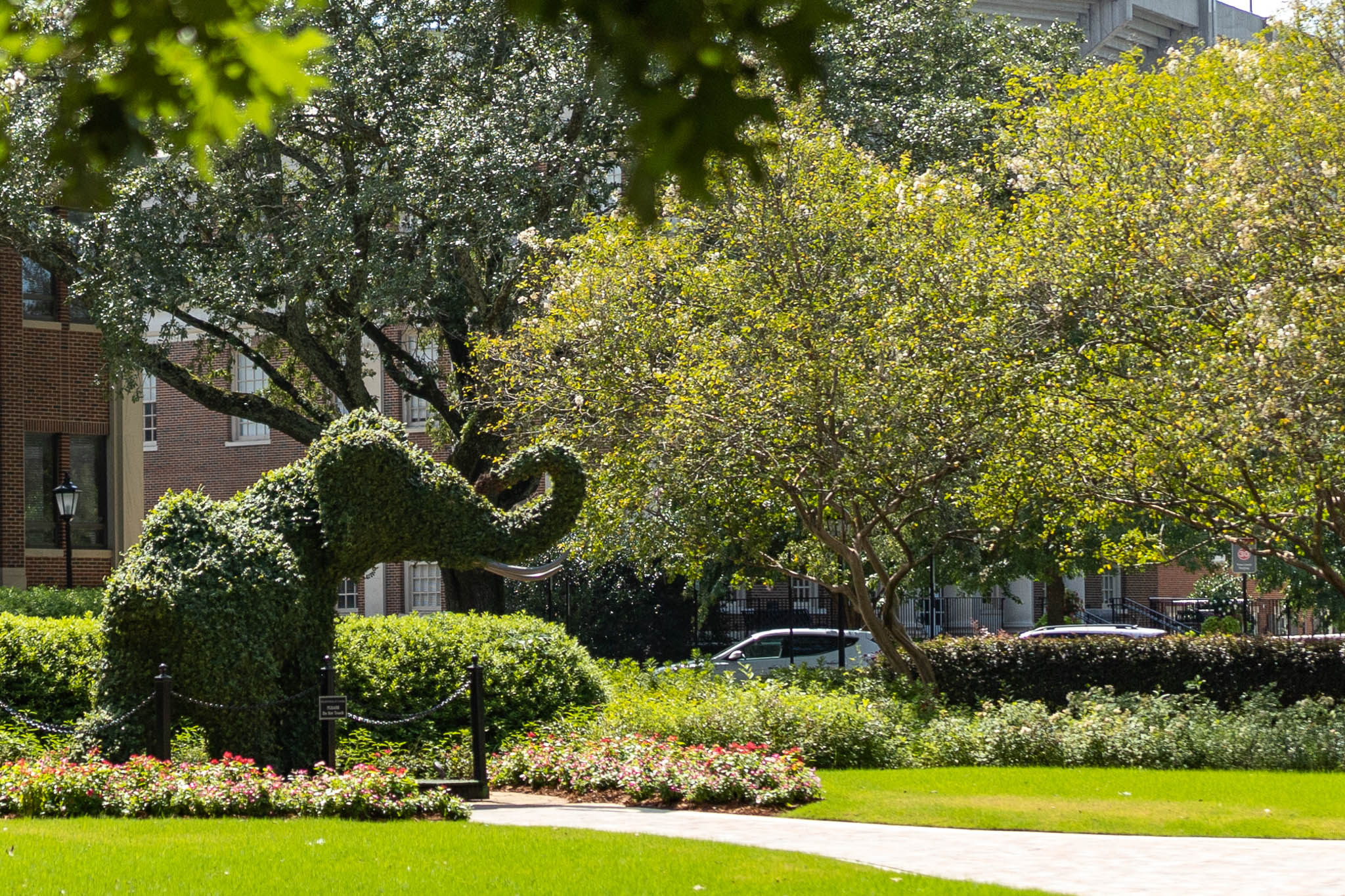 Stuart Rachels proves he's a chess master after 30 years | Bham Now