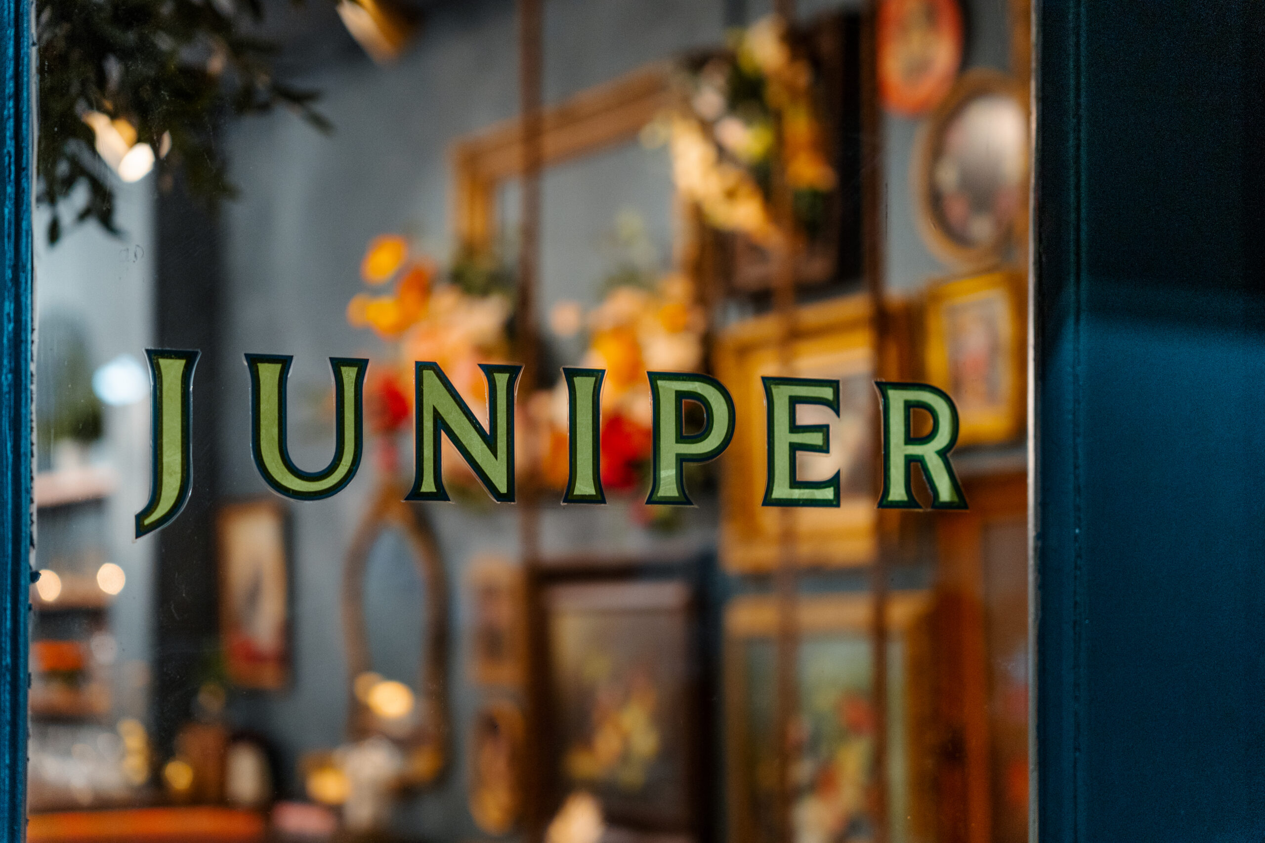 A sneak peek at Juniper, Forest Park's newest + most gorgeous bar ...