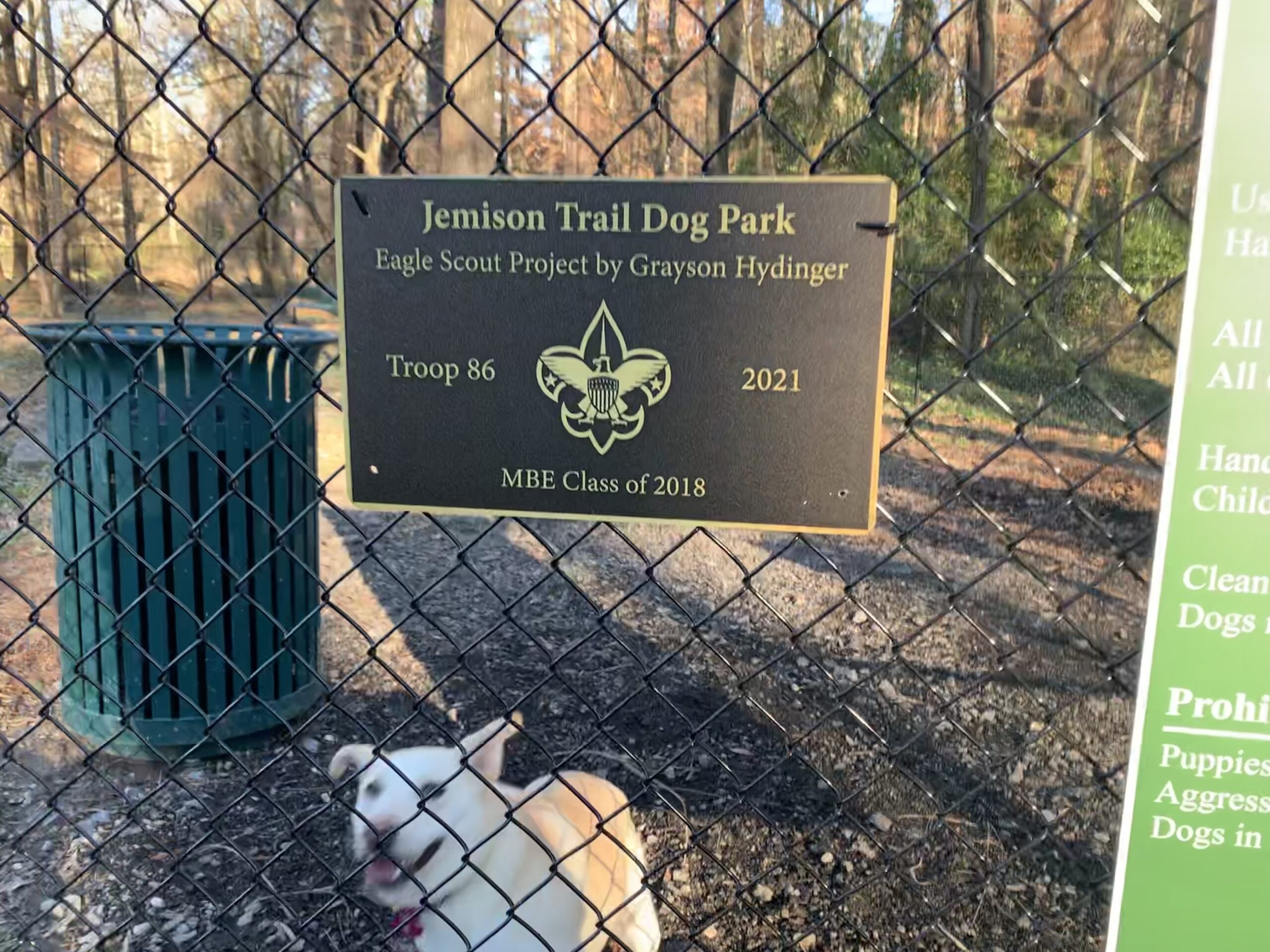 Mountain Brook adds new dog park thanks to a special Eagle Scout ...