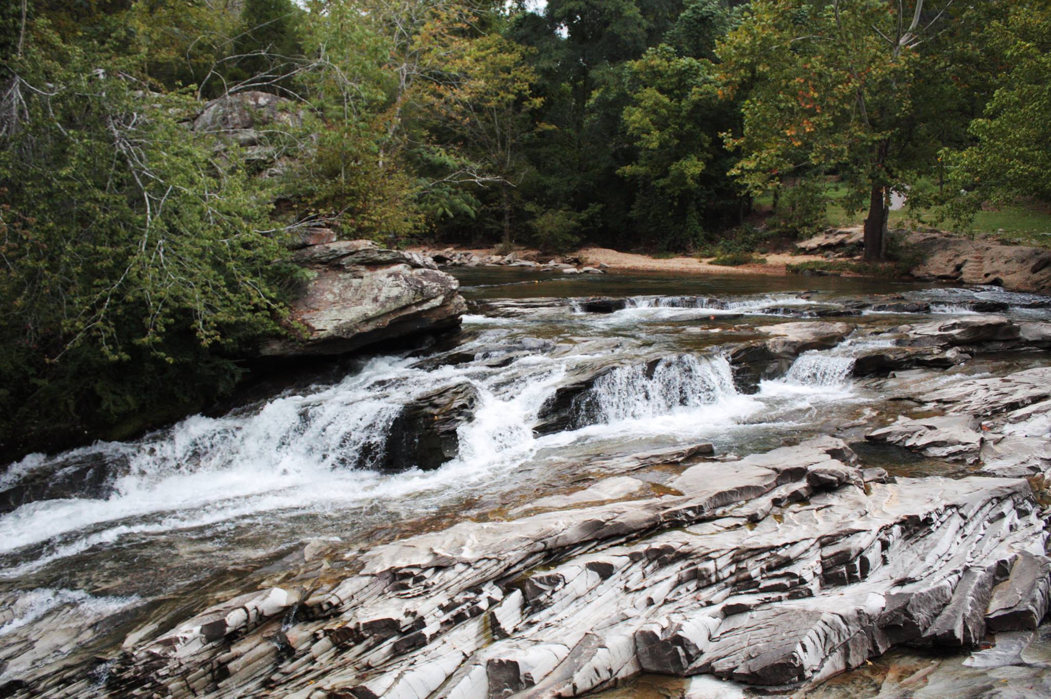 Saving Alabama’s special places is a top Forever Wild priority, says ...