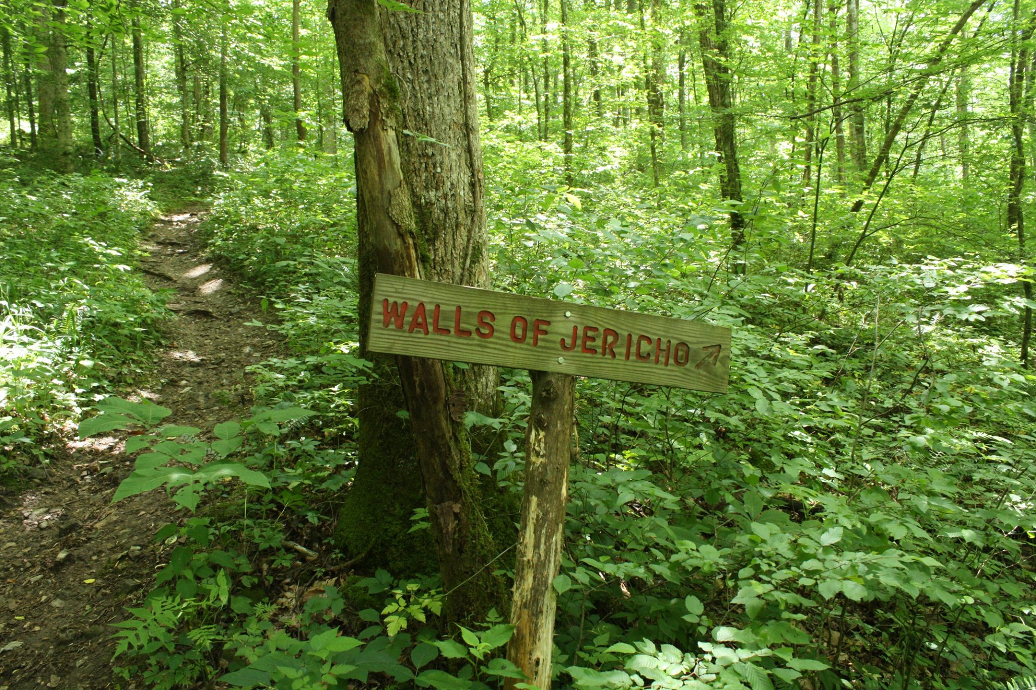 Saving Alabama’s special places is a top Forever Wild priority, says ...