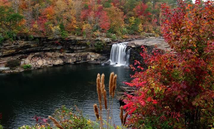 9 unique reasons you need to visit Fort Payne this fall, including ...