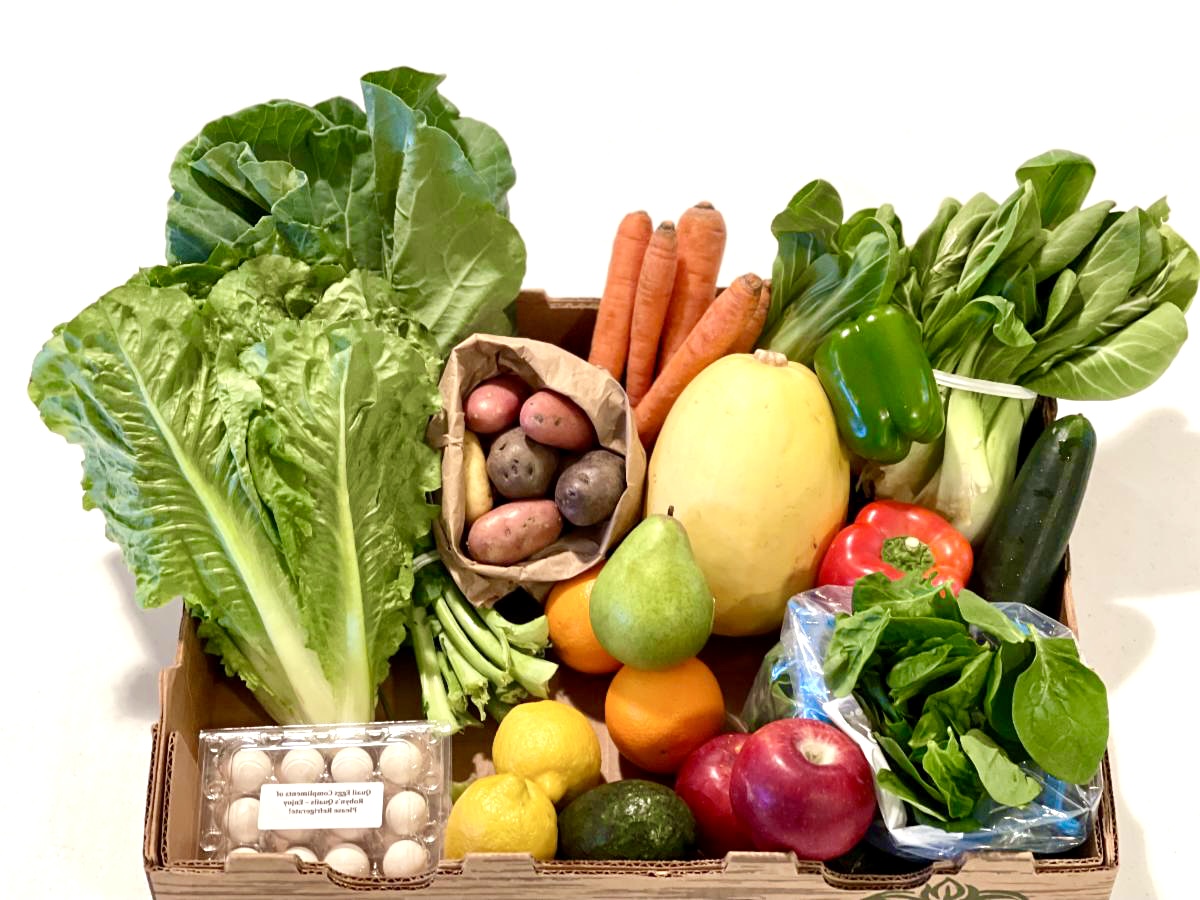 3 local Community Supported Agriculture shares available for home ...