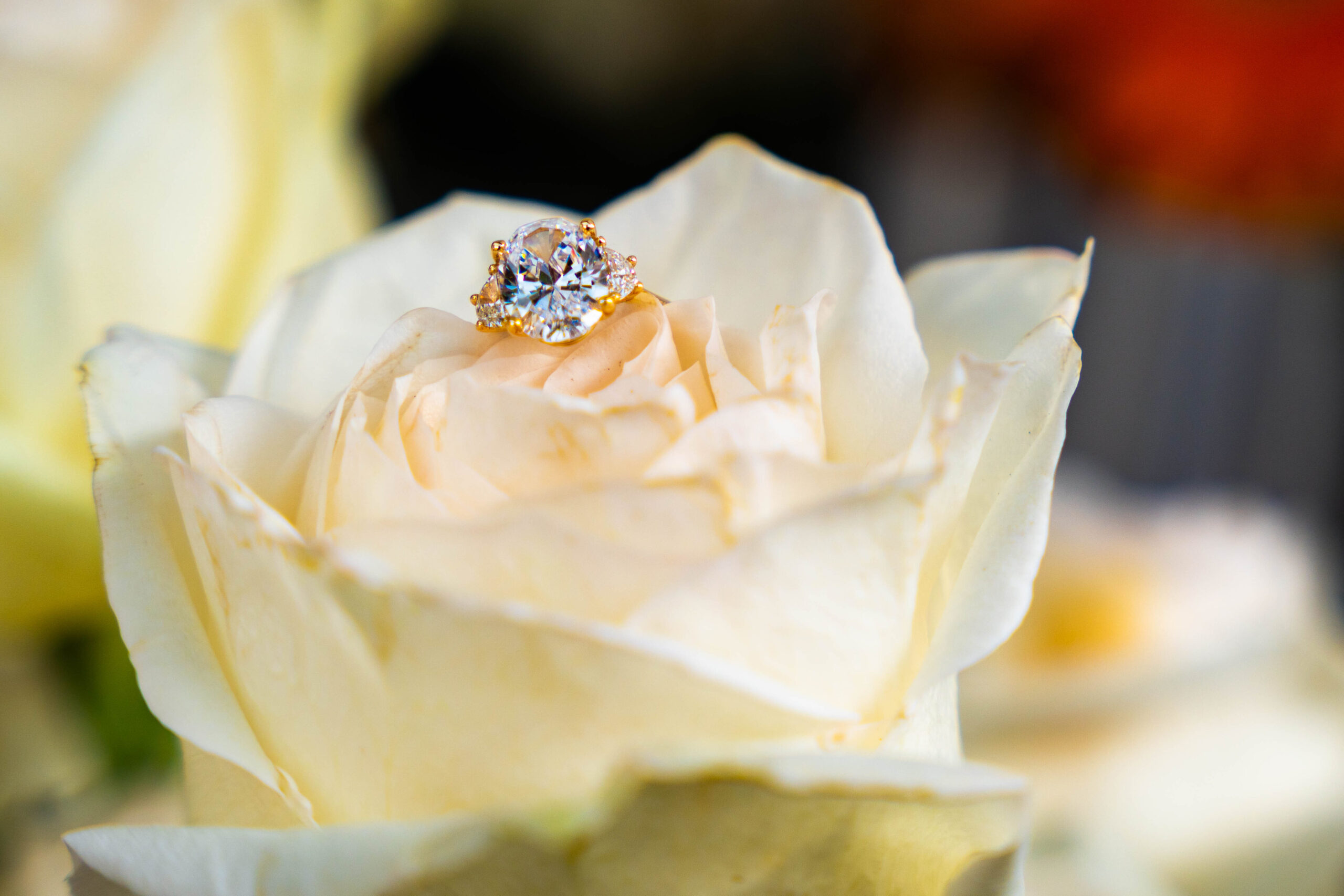 Diamonds Direct Spring Showcase is April 21-30—amazing deals, cocktail ...