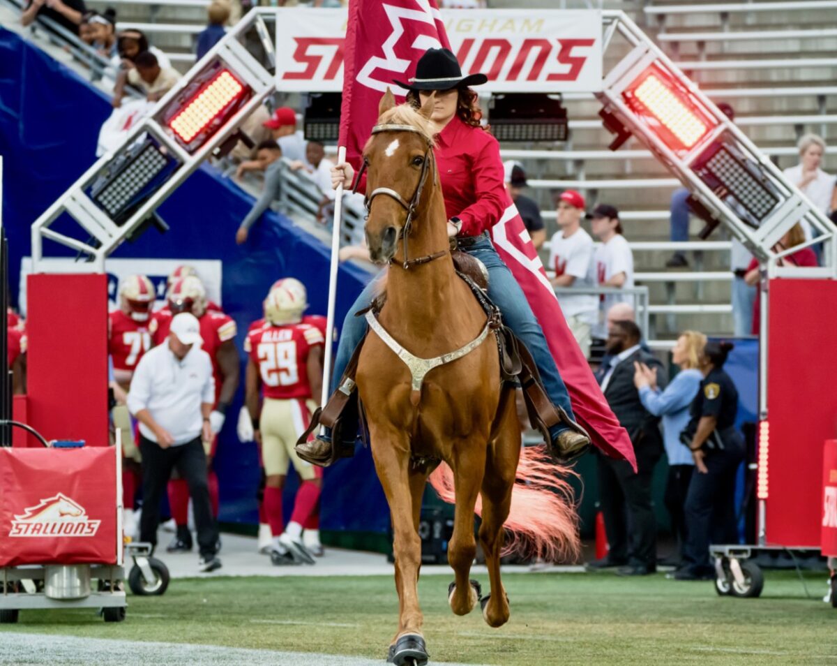 5 unique fan experiences to try at the next Birmingham Stallions game ...